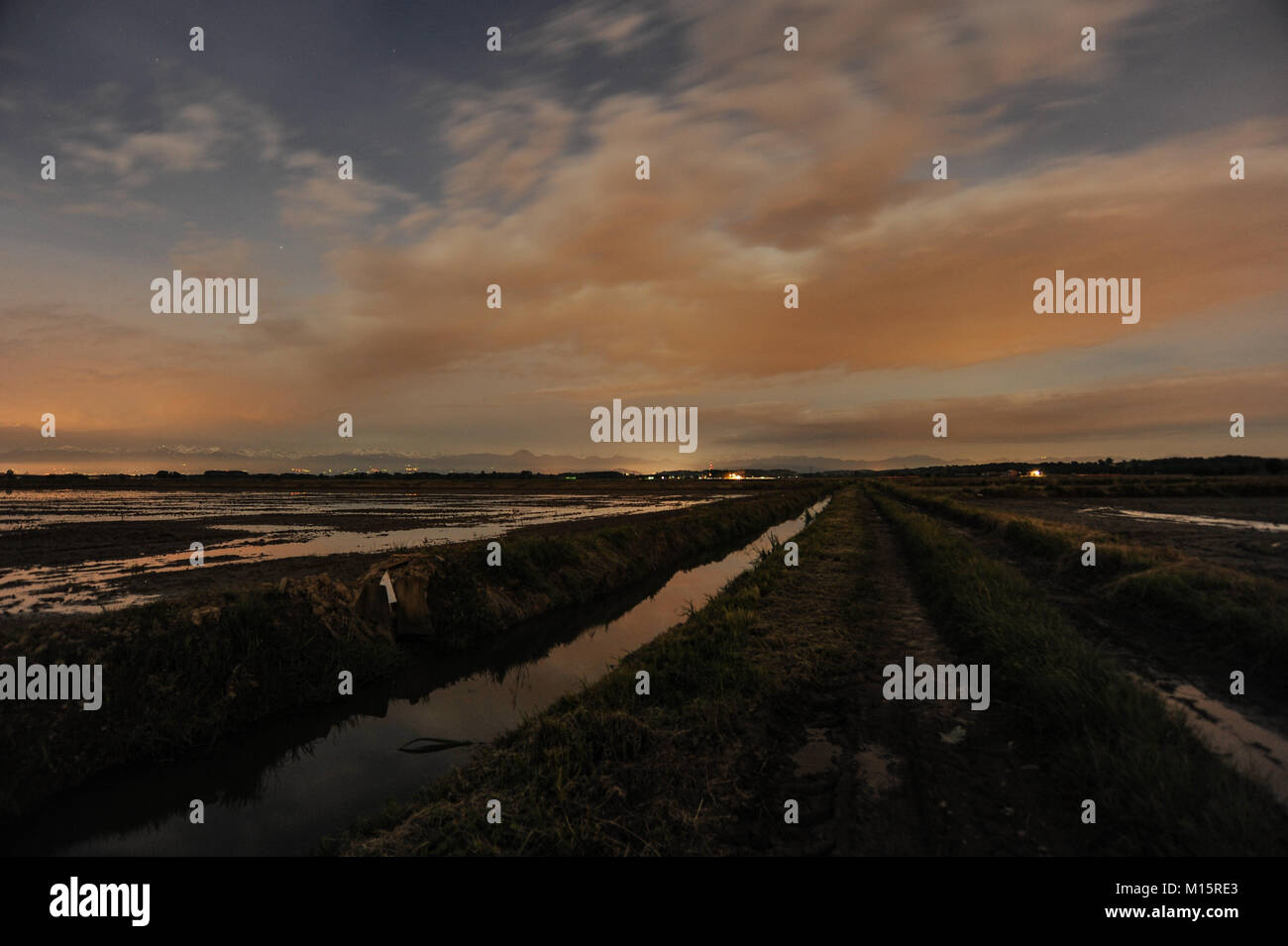 Italy rice piedmont hi-res stock photography and images - Alamy