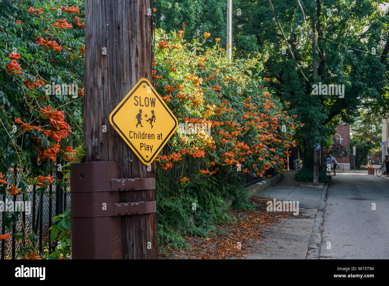 Slow, children at play signage with fall trees Stock Photo - Alamy