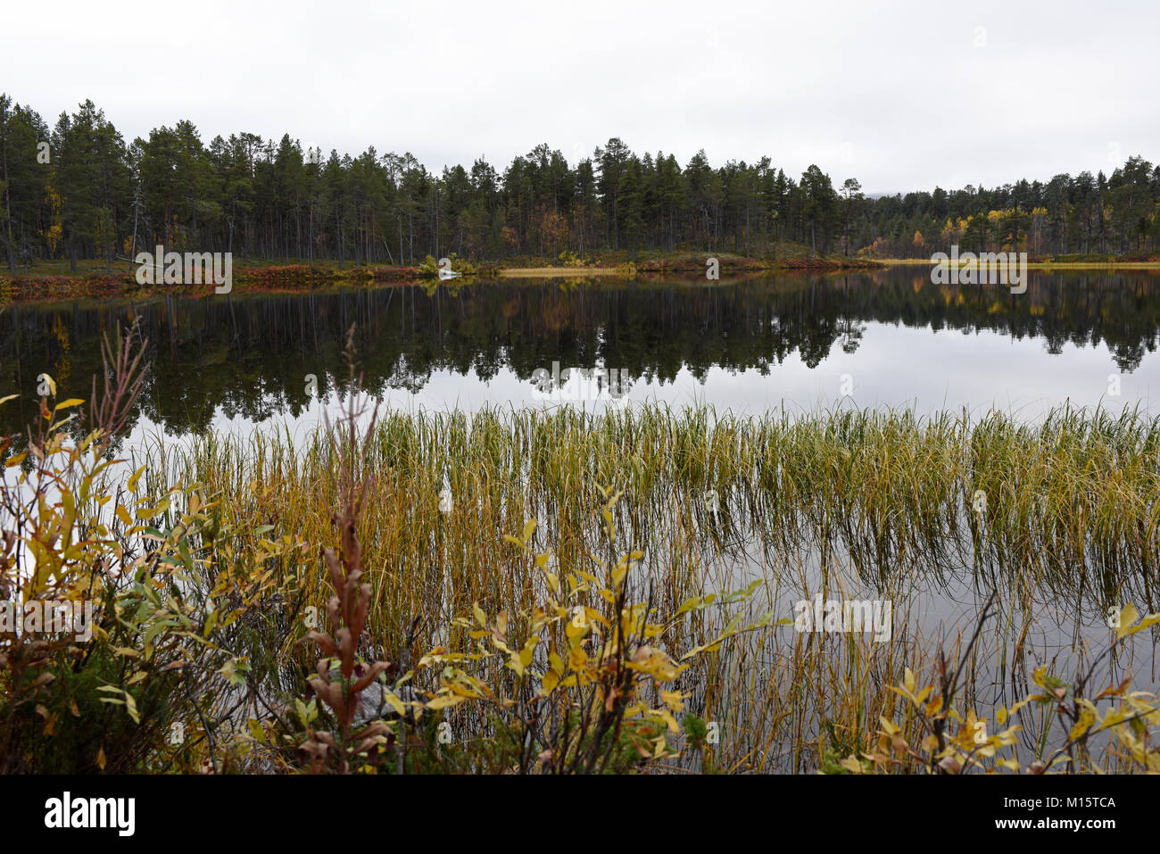 Lemmenjoki sami hi-res stock photography and images - Alamy