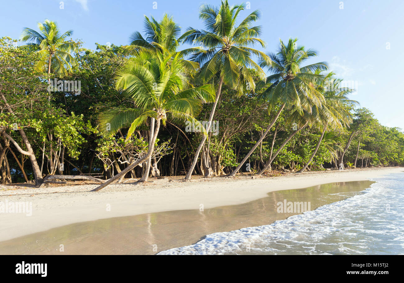 Martinique island hi-res stock photography and images - Alamy