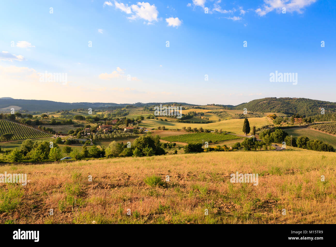 Tuscany hills landscape, Italy. Rural italian panorama Stock Photo - Alamy