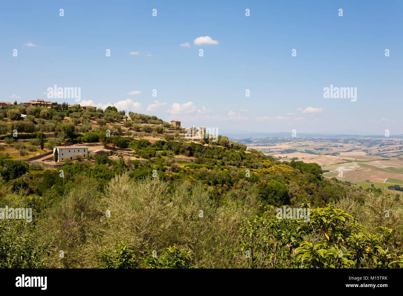 Montalcino view, tuscany, Italy. Famous italian medieval town. Rural ...