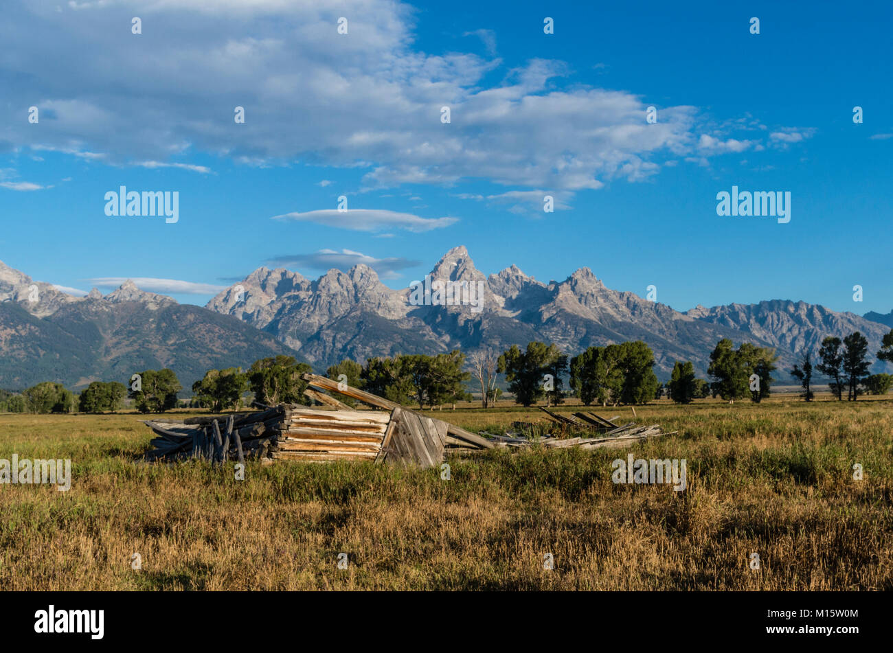 Collapsed barn with the Teton Mountains in the background. Moose ...