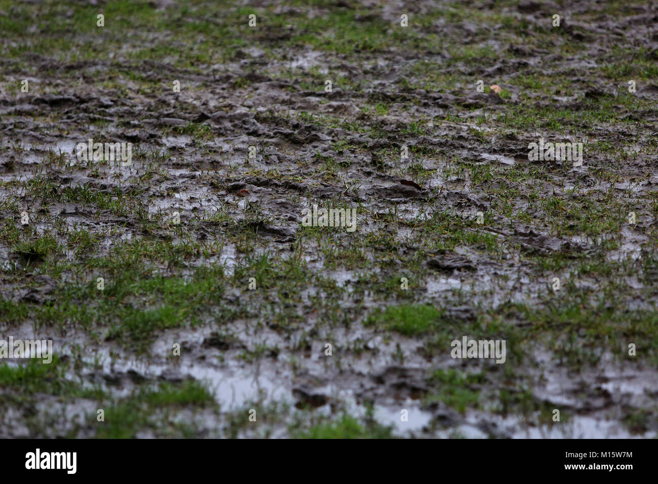 Wet pitch football hi-res stock photography and images - Alamy