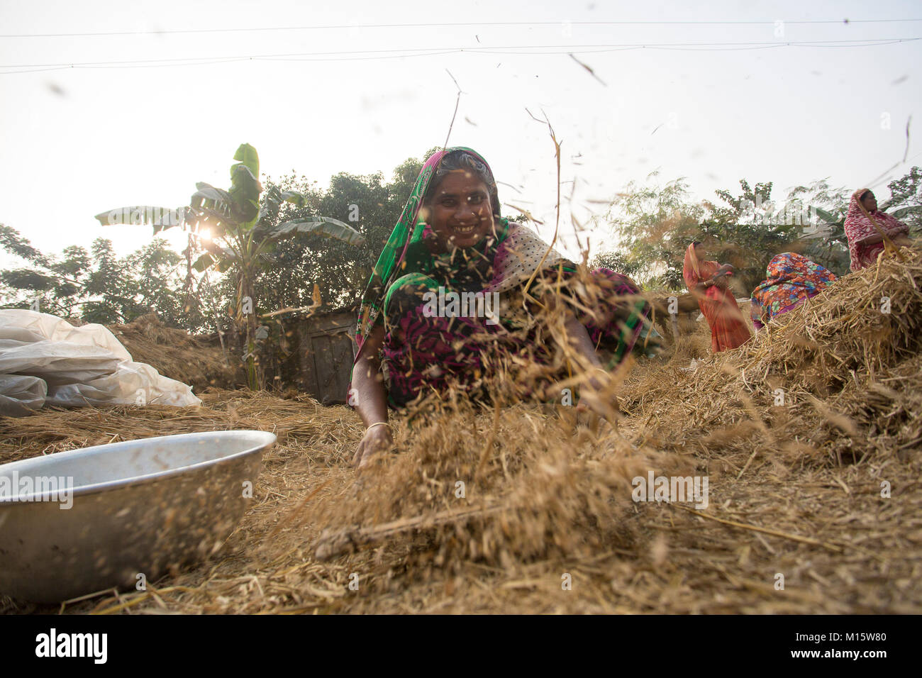 Labor Women are working Stock Photo - Alamy
