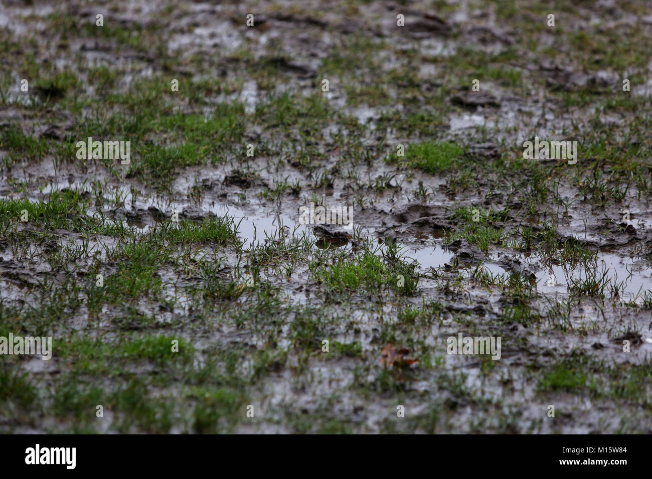 Wet football pitch hi-res stock photography and images - Alamy