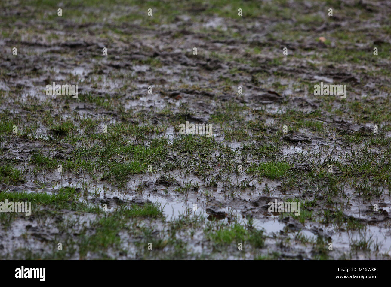 Wet football pitch hi-res stock photography and images - Alamy