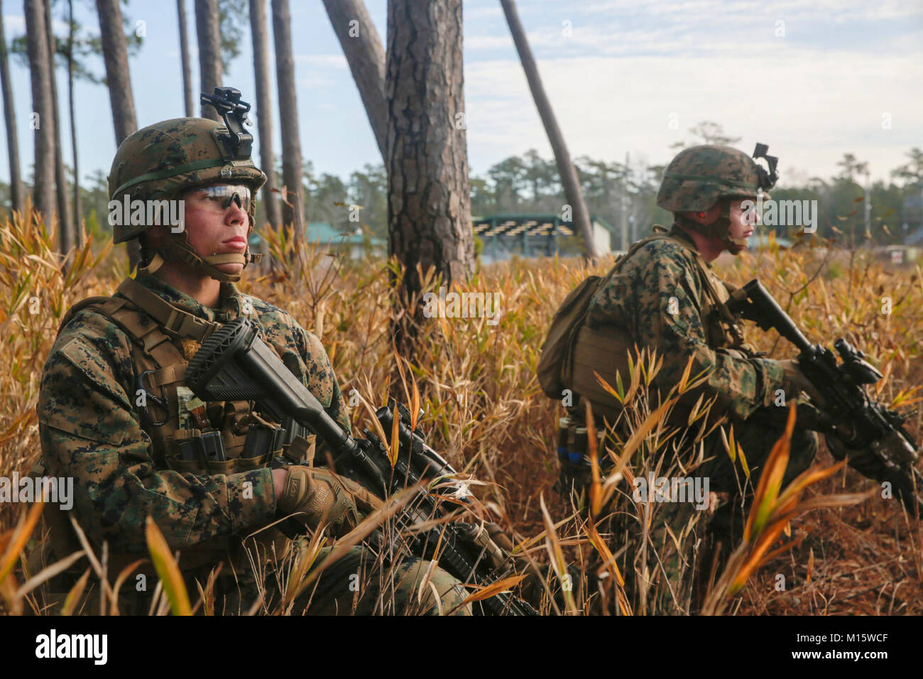 Marines with 2nd Light Armored Reconnaissance Battalion, 2nd Marine ...