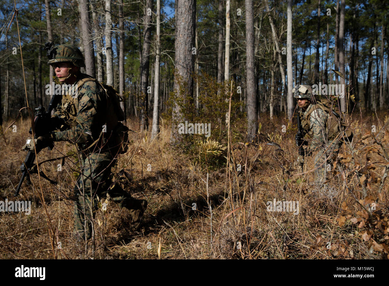 Marines with 2nd Light Armored Reconnaissance Battalion, 2nd Marine ...