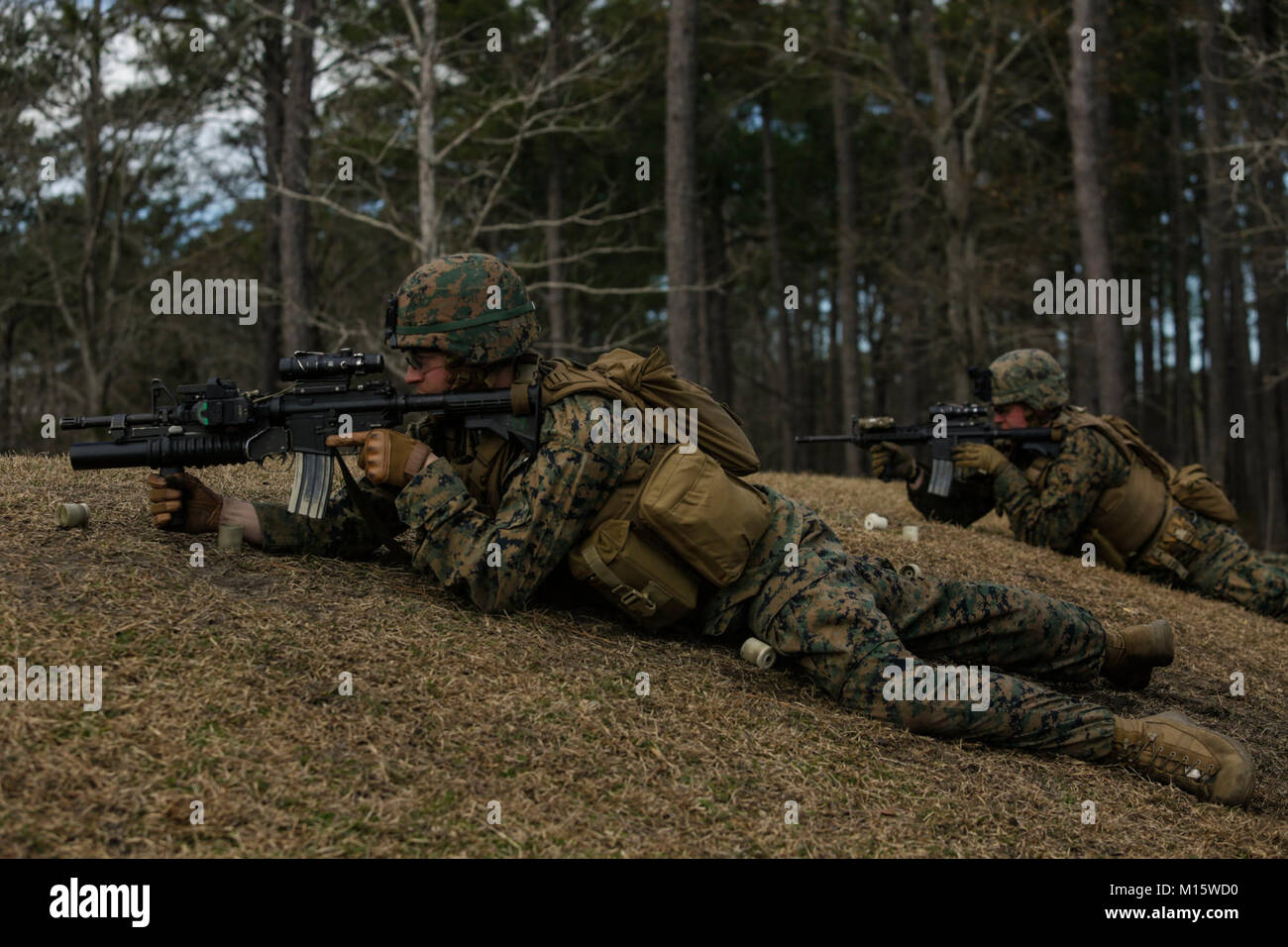 2nd Light Armored Reconnaissance Battalion Stock Photos & 2nd Light ...
