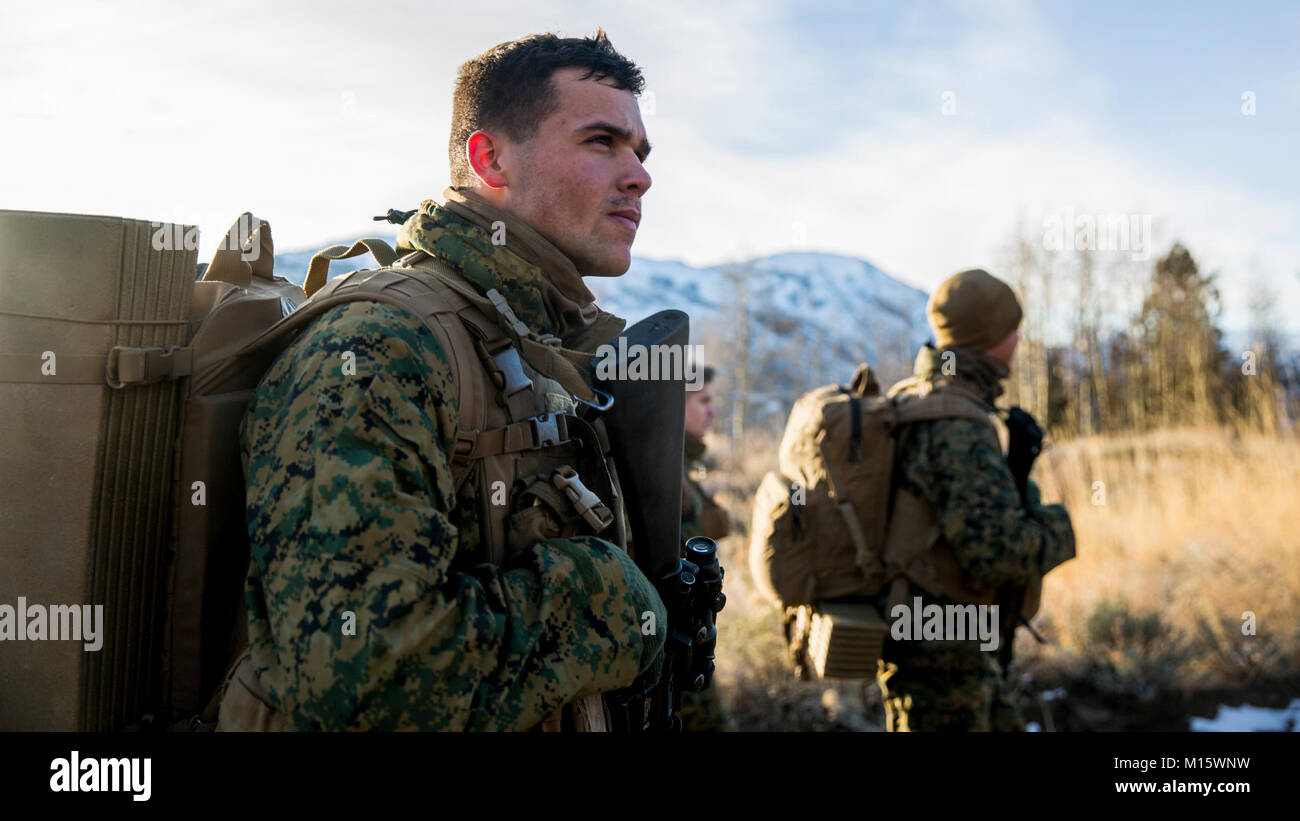 Low altitude air defence gunner hi-res stock photography and images - Alamy