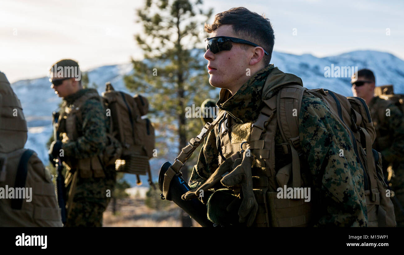 Low altitude air defence gunner hi-res stock photography and images - Alamy