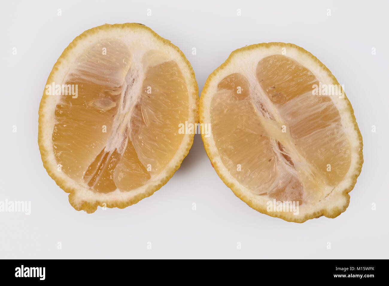 Fresh juicy lemon, cut into two halves on white background Stock Photo ...