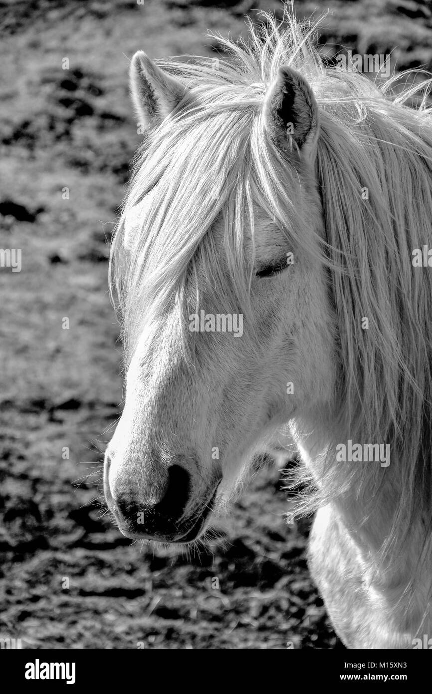 Inquisitive background Black and White Stock Photos & Images - Alamy