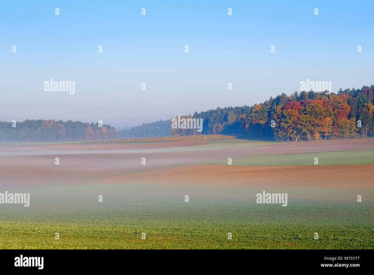 Morning mist near Perletzhofen near Riedenburg,Nature Park Altmühltal ...