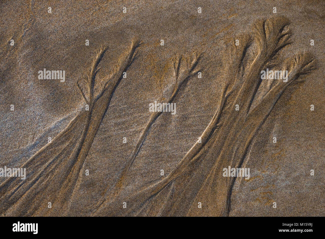 Structures in sand on sandy beach,Fuerteventura,Canary Islands,Spain ...