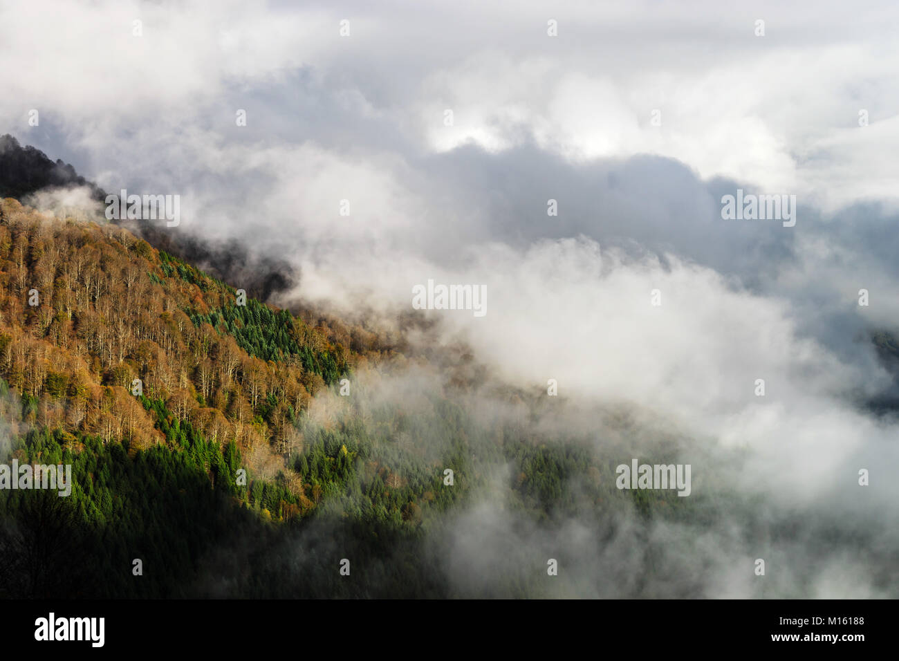 Over the clouds in high mountains, Pyrenees, foggy and cloudy, France ...