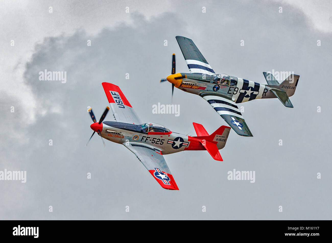 P 51 red tail hi-res stock photography and images - Alamy