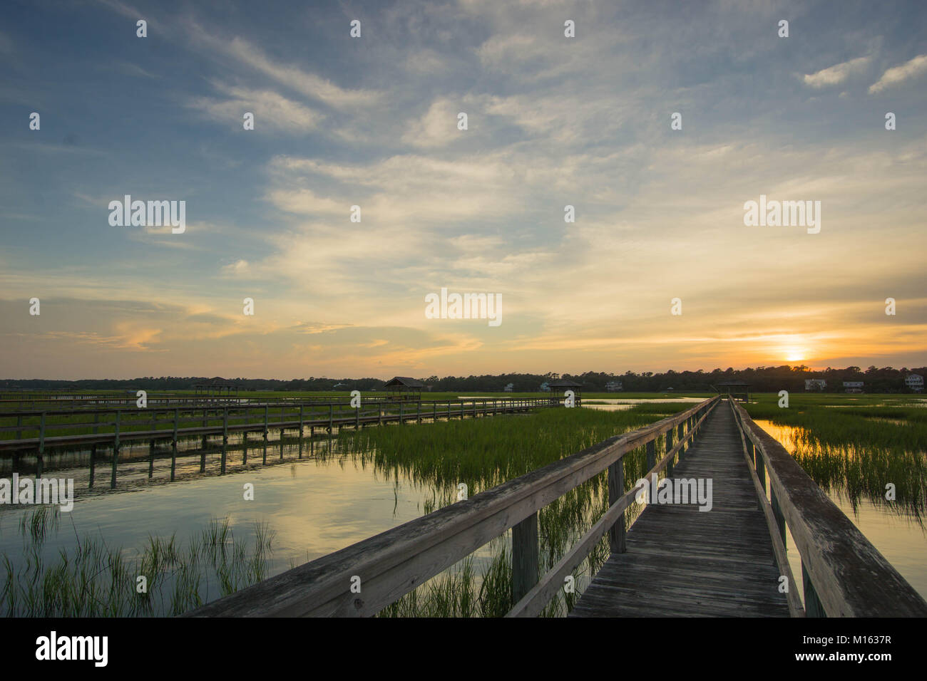 long wooden boardwalk pier over marsh at high tide with a fantastic ...