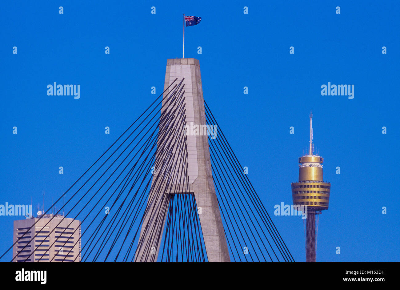 The Anzac Bridge is an 8-lane cable-stayed bridge spanning Johnstons ...