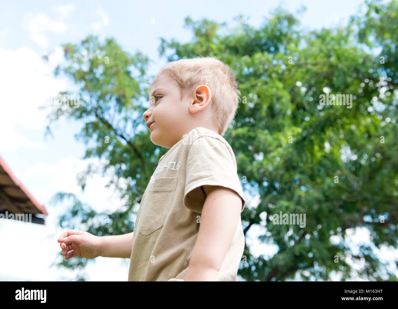 Blonde child with blue eyes, outdoor, portraits. The boy is four years ...
