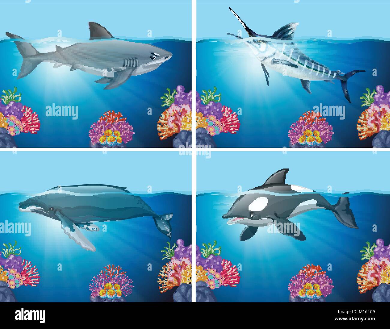Sharks and whales in the ocean illustration Stock Vector Image & Art ...