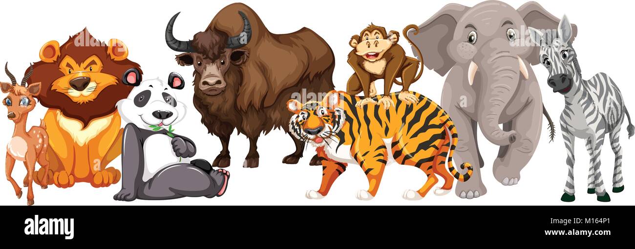 Different kinds of animals on white background illustration Stock ...