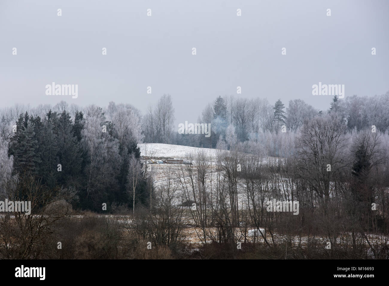 Frost white trees hi-res stock photography and images - Alamy