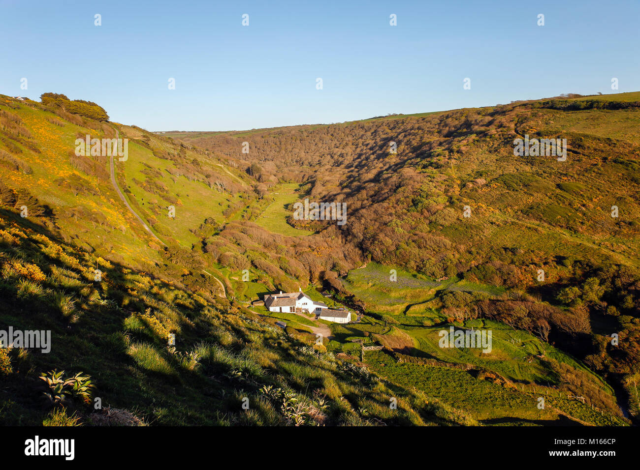 Cornwall devon border hi-res stock photography and images - Alamy
