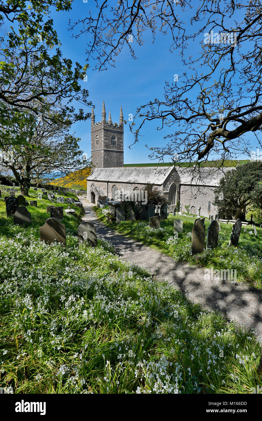 Morwenstow Church; Spring; Cornwall; UK Stock Photo - Alamy