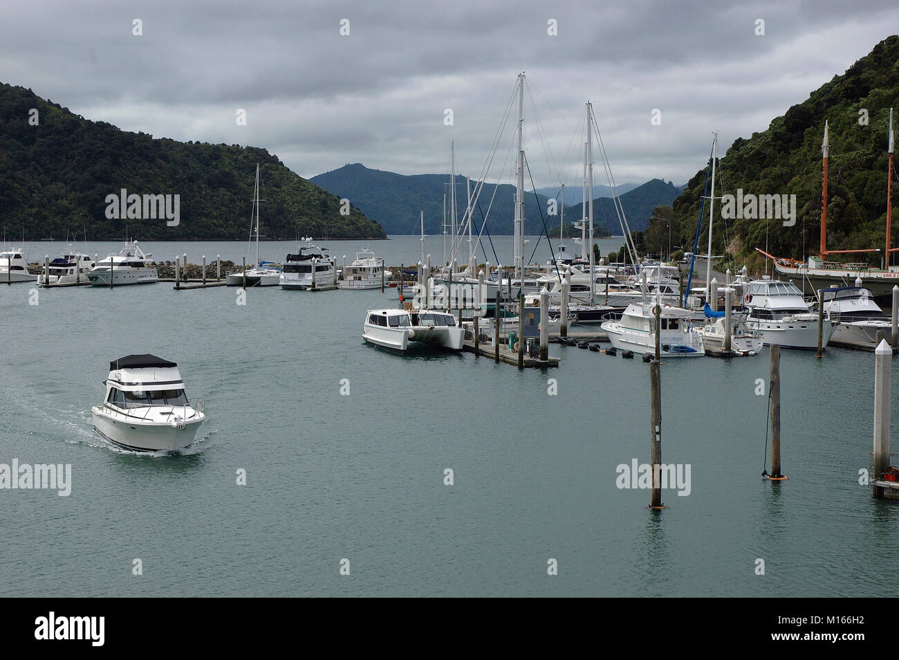 Picton Harbour, South Island, New Zealand,NZ Stock Photo - Alamy
