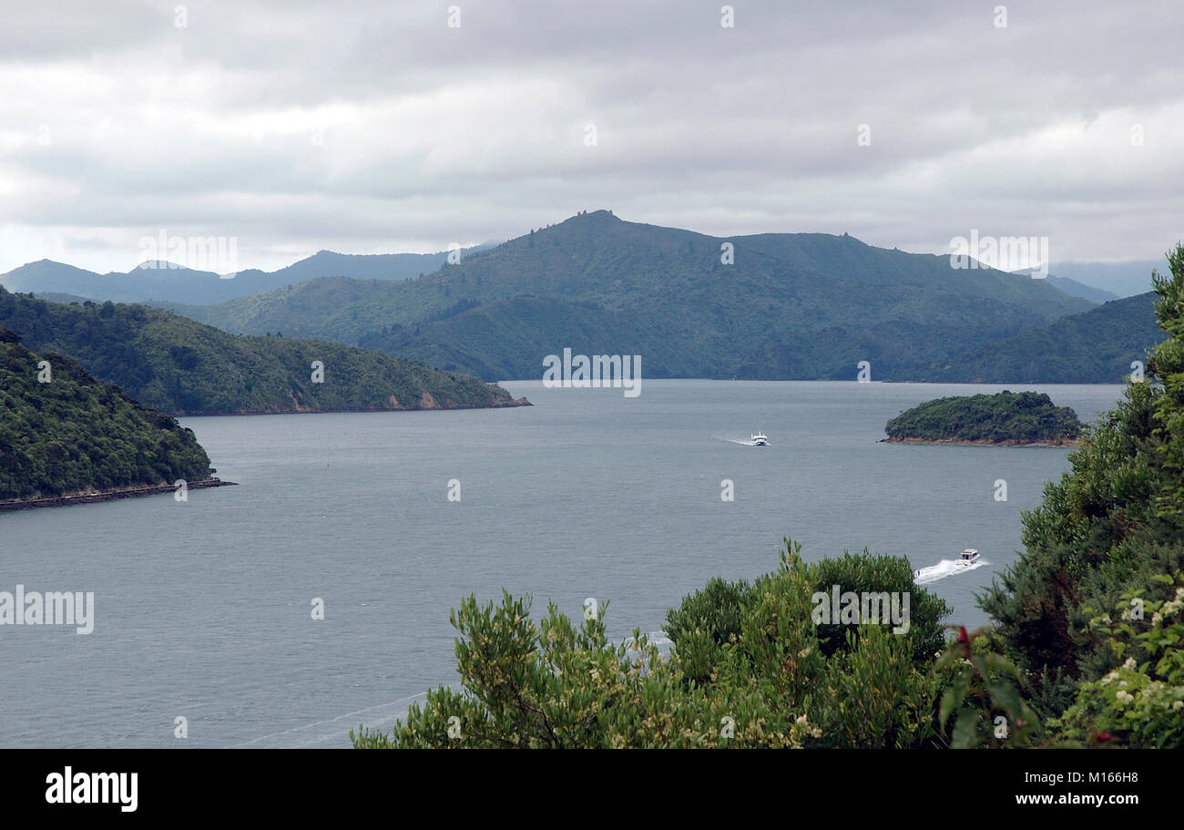 Picton south island hi-res stock photography and images - Alamy