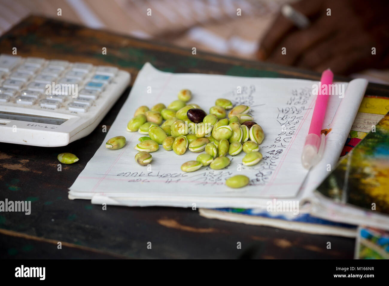 Board beans seed Stock Photo - Alamy