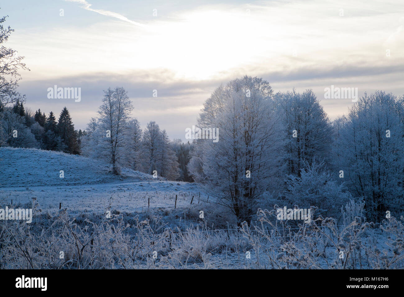 Frost landscape hi-res stock photography and images - Alamy