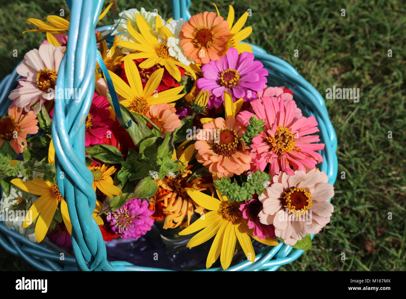 Array of flowers hi-res stock photography and images - Alamy