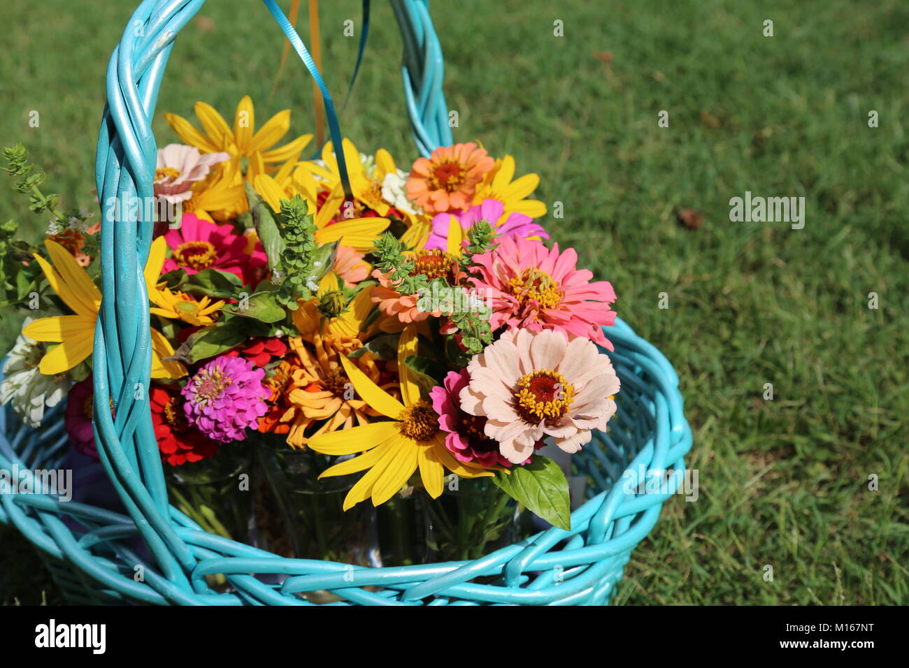 A colorful array of flowers from my garden Stock Photo - Alamy