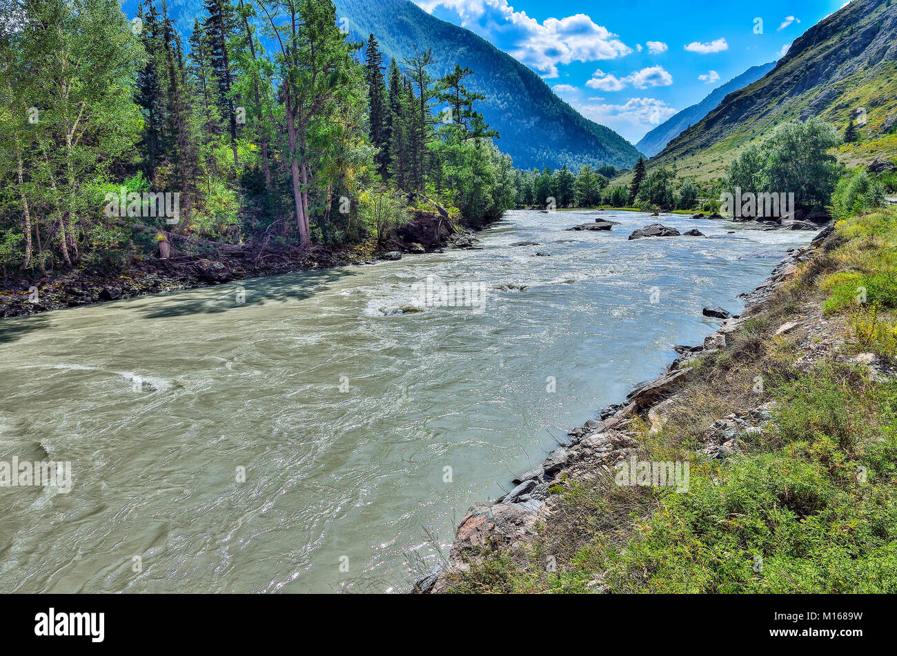 Picturesque summer mountain landscape with fast seething river among ...