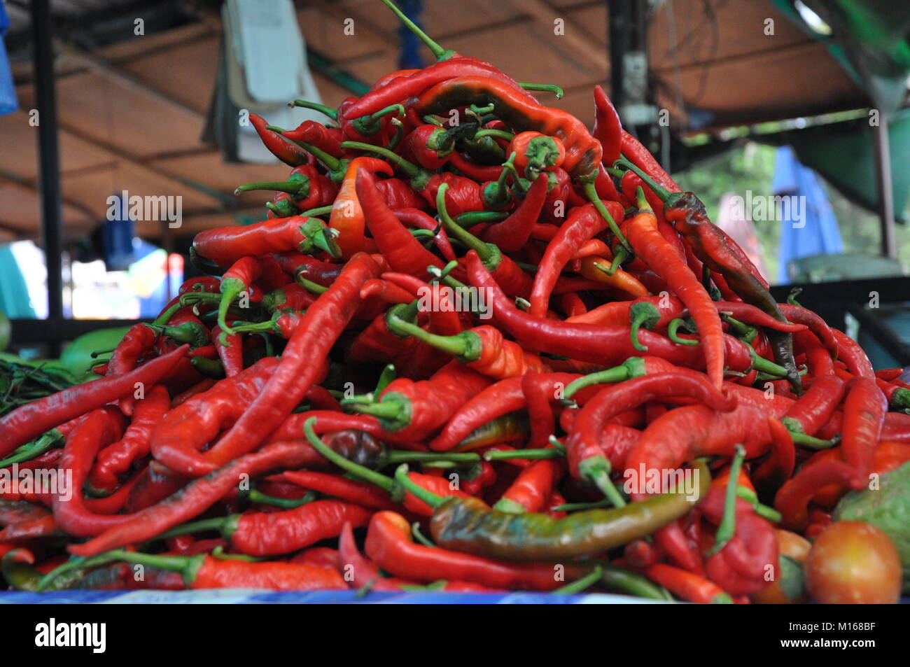 Red Chills at the market, Brunei Stock Photo - Alamy