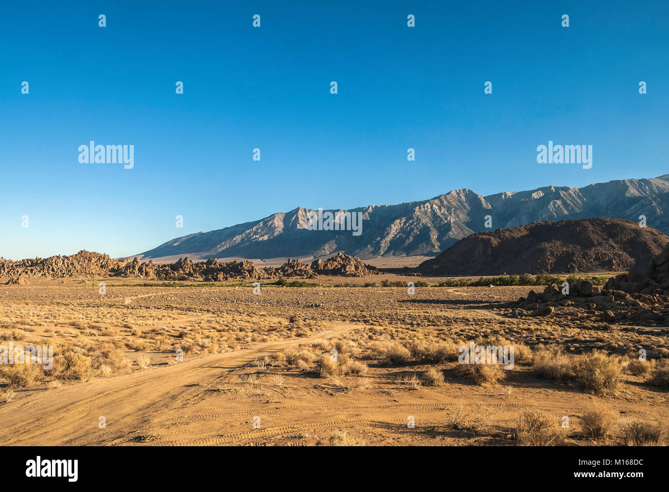 Desert in the Alabama Hills with the Inyo Mountains in the background ...