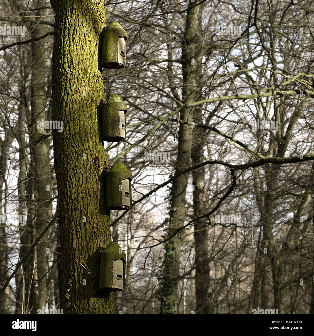 Close up of four nesting boxes made of concrete in a forest Stock Photo ...