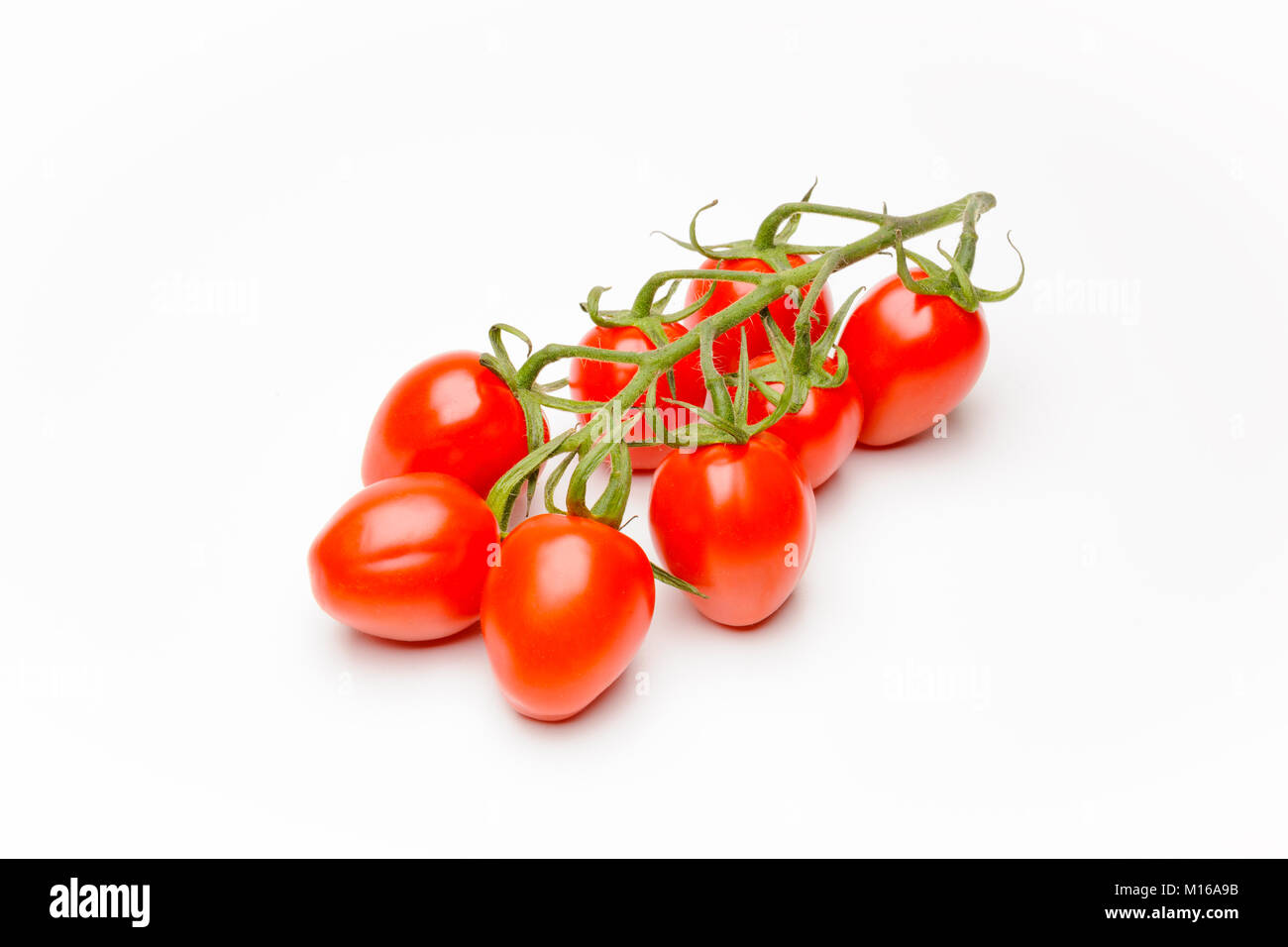 Mini Cherry Tomatoes Stock Photo - Alamy