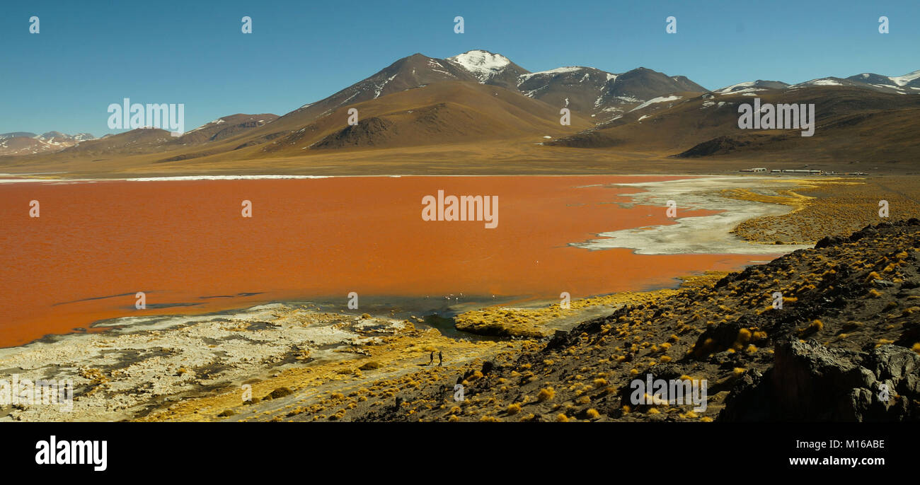 Red Lagoon in Salar de Uyuni Stock Photo - Alamy