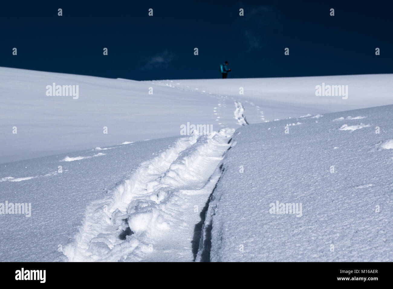 A shallow depth picture of track in new powder snow made by ski tourer ...