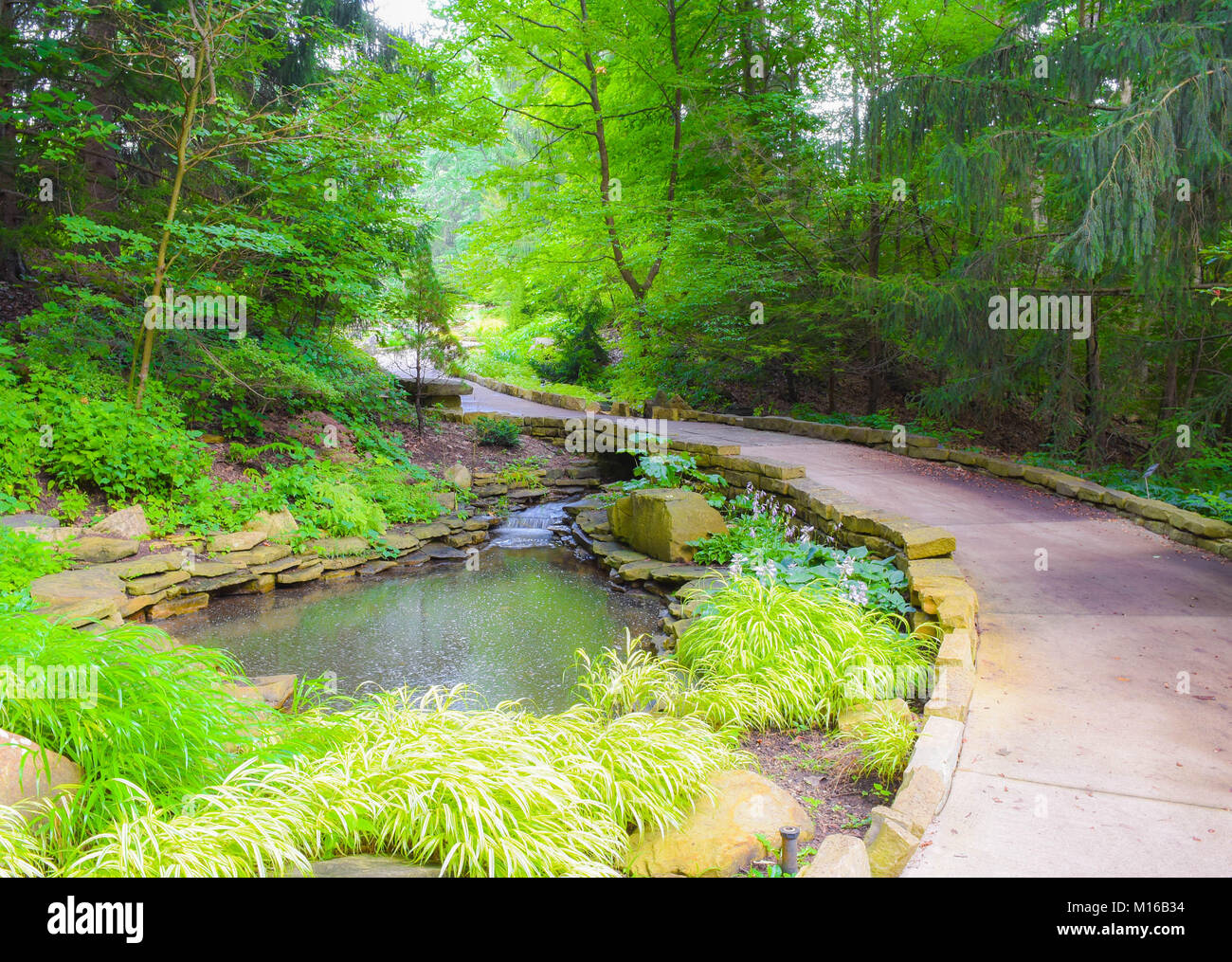 A walking trail that passes by a beautiful waterfall and pond. Lush ...