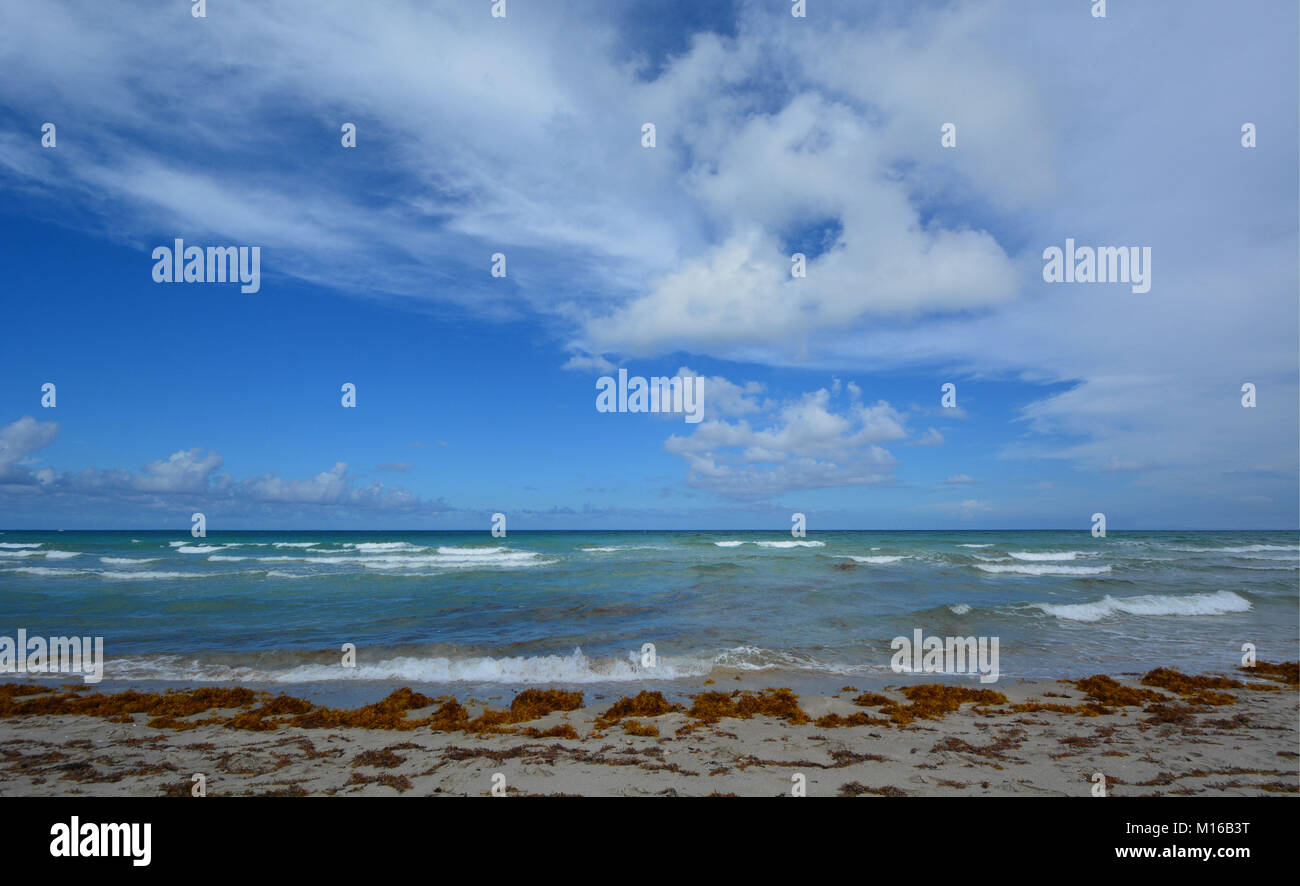 Beach view with clouds and wind Stock Photo - Alamy