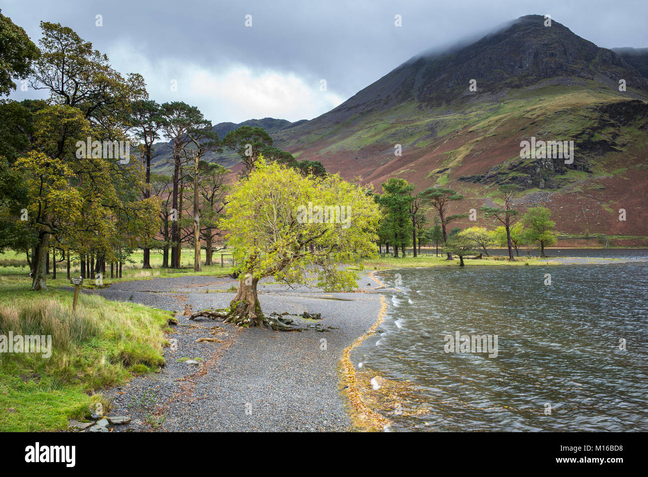 Valley scene - lake shore of Buttermere Lake and High Stile mountain in ...