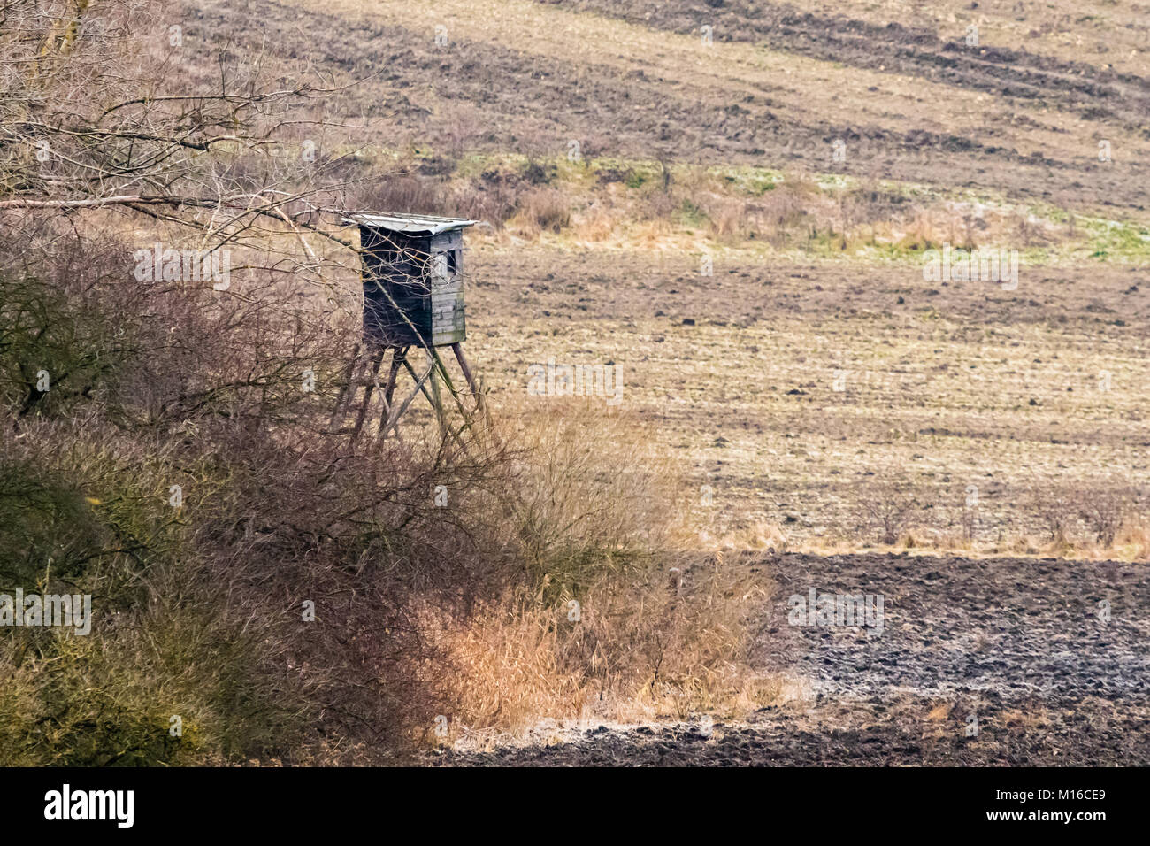 Hunting watchtower hi-res stock photography and images - Alamy