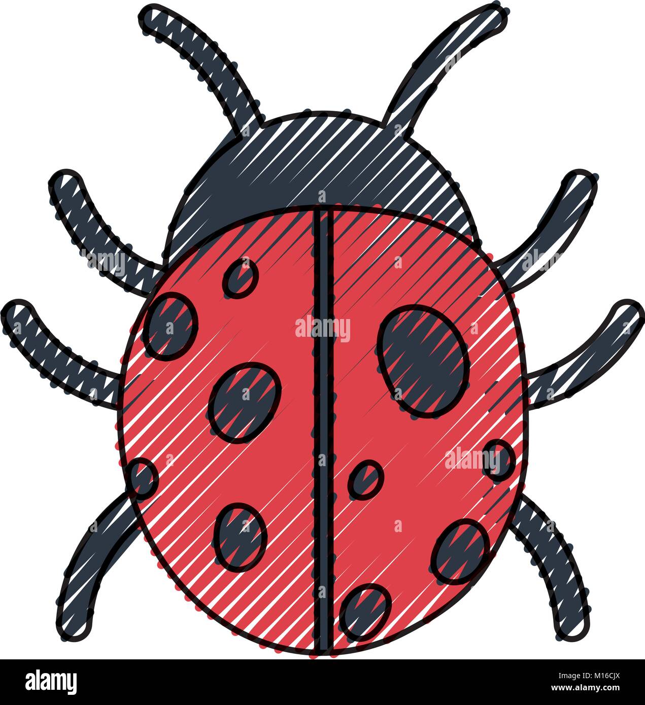 Ladybug icon image Stock Vector Image & Art - Alamy