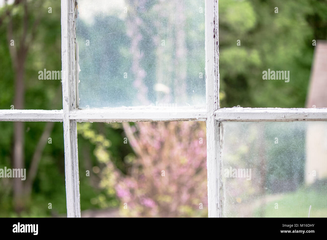 Vintage backyard wedding hi-res stock photography and images - Alamy