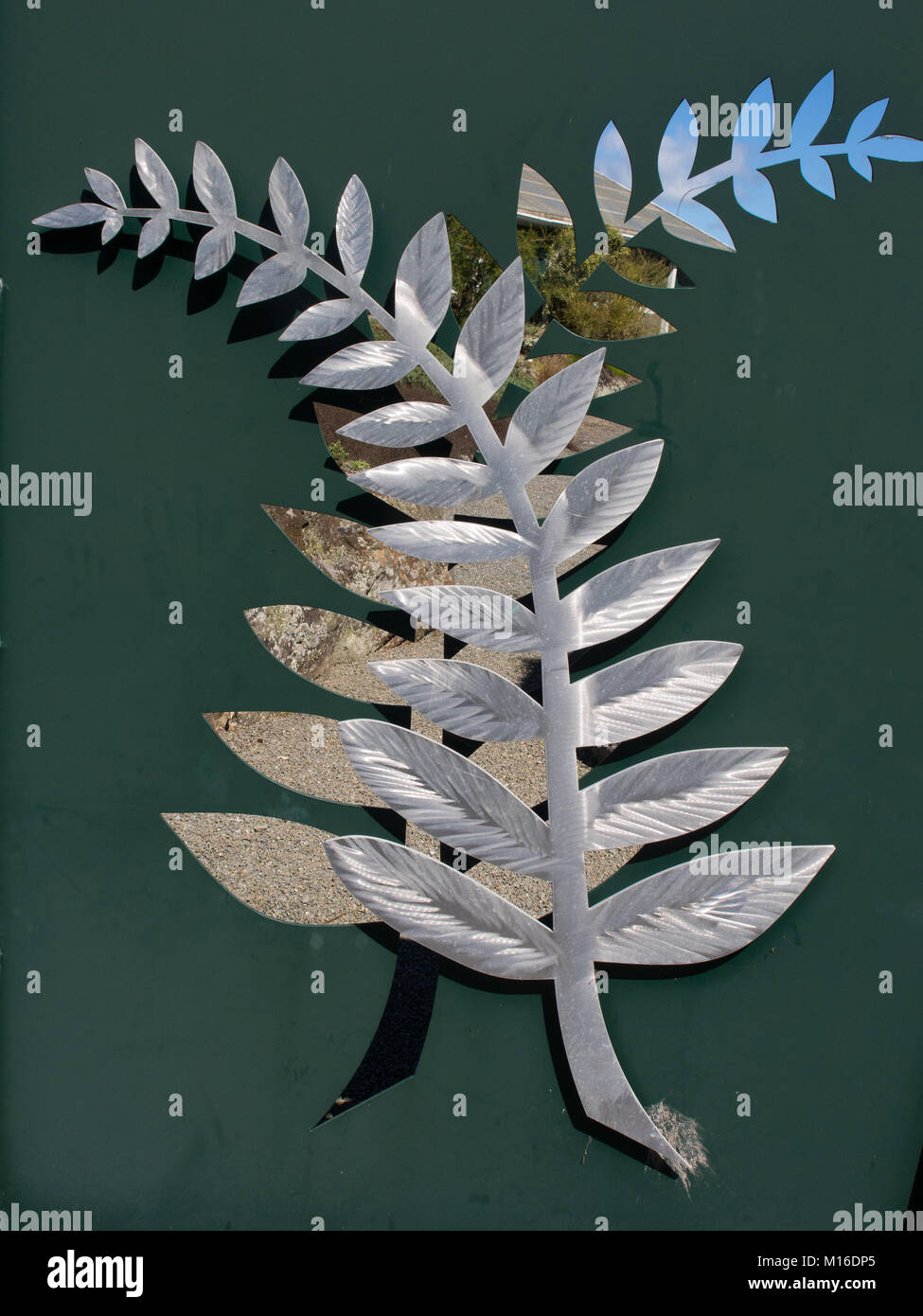 Silver fern hi-res stock photography and images - Alamy